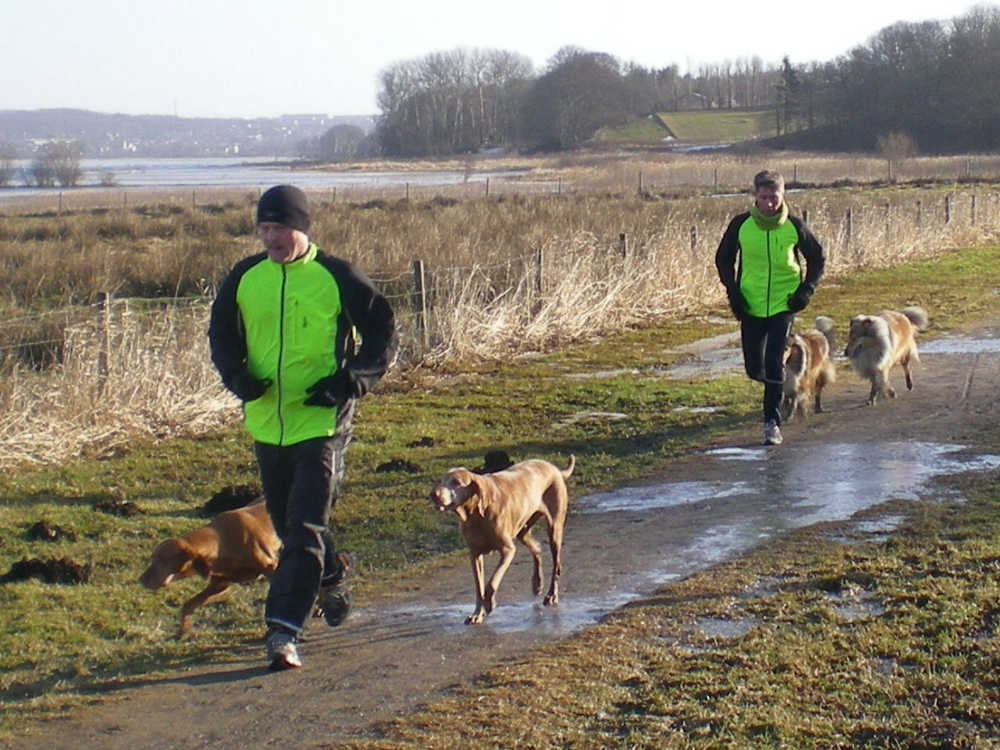 Foto: Peder Troldborg, 5.3.2011.