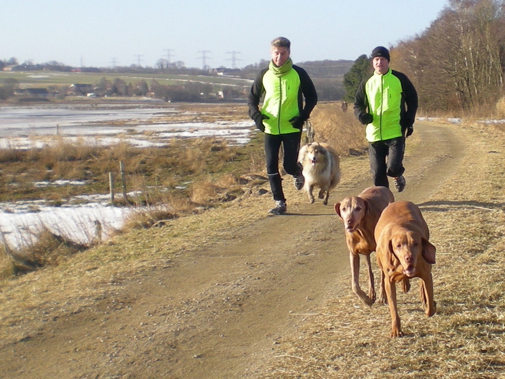 Foto: Peder Troldborg, 5.3.2011.